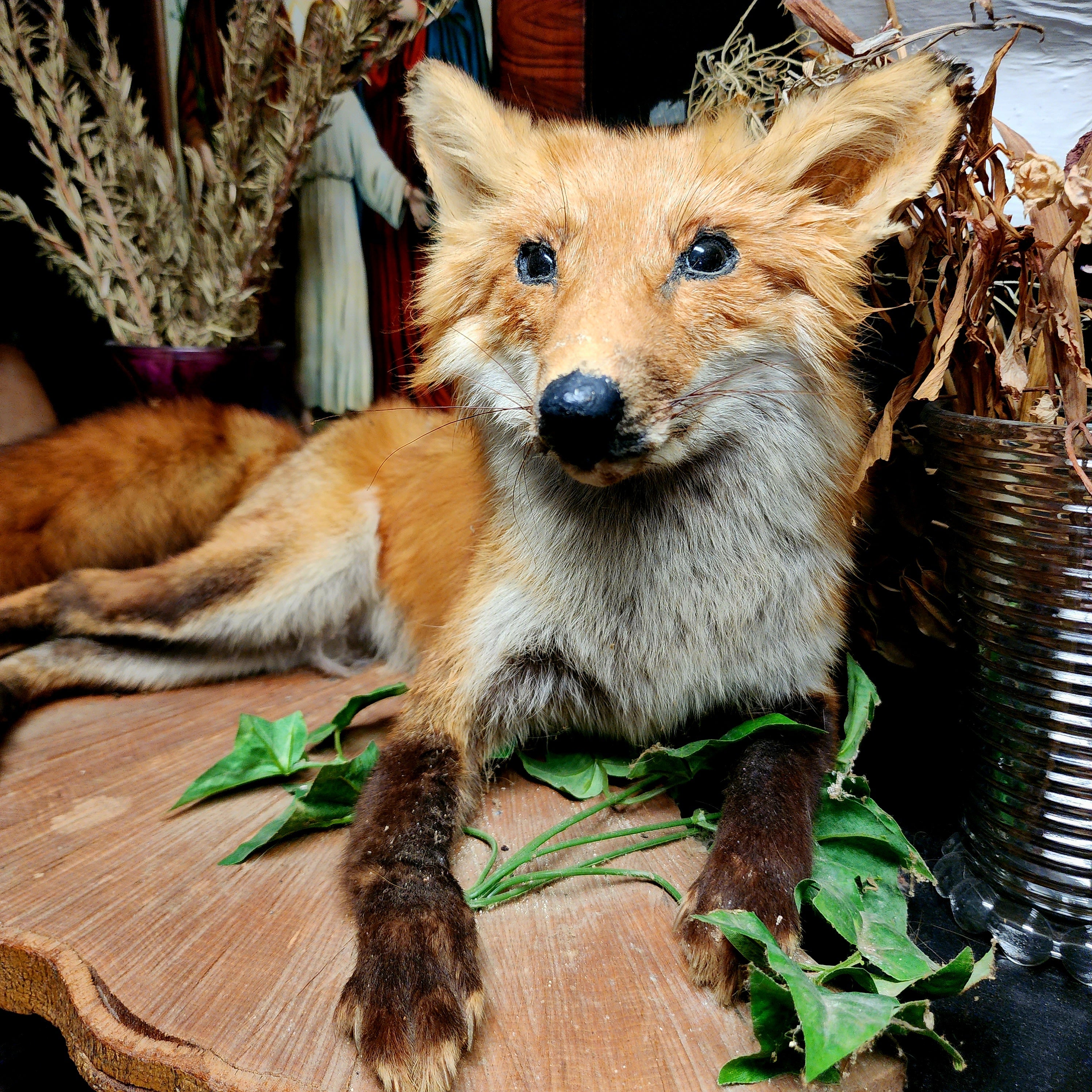 FRANKIE THE FOX – Hail - Records and Oddities