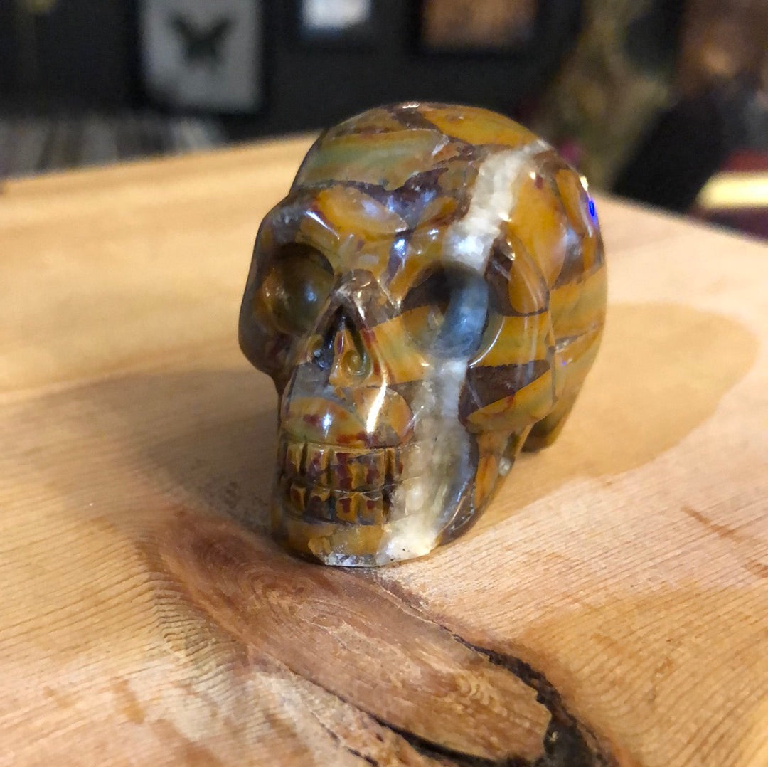 IBIS JASPER SKULL – Hail - Records and Oddities