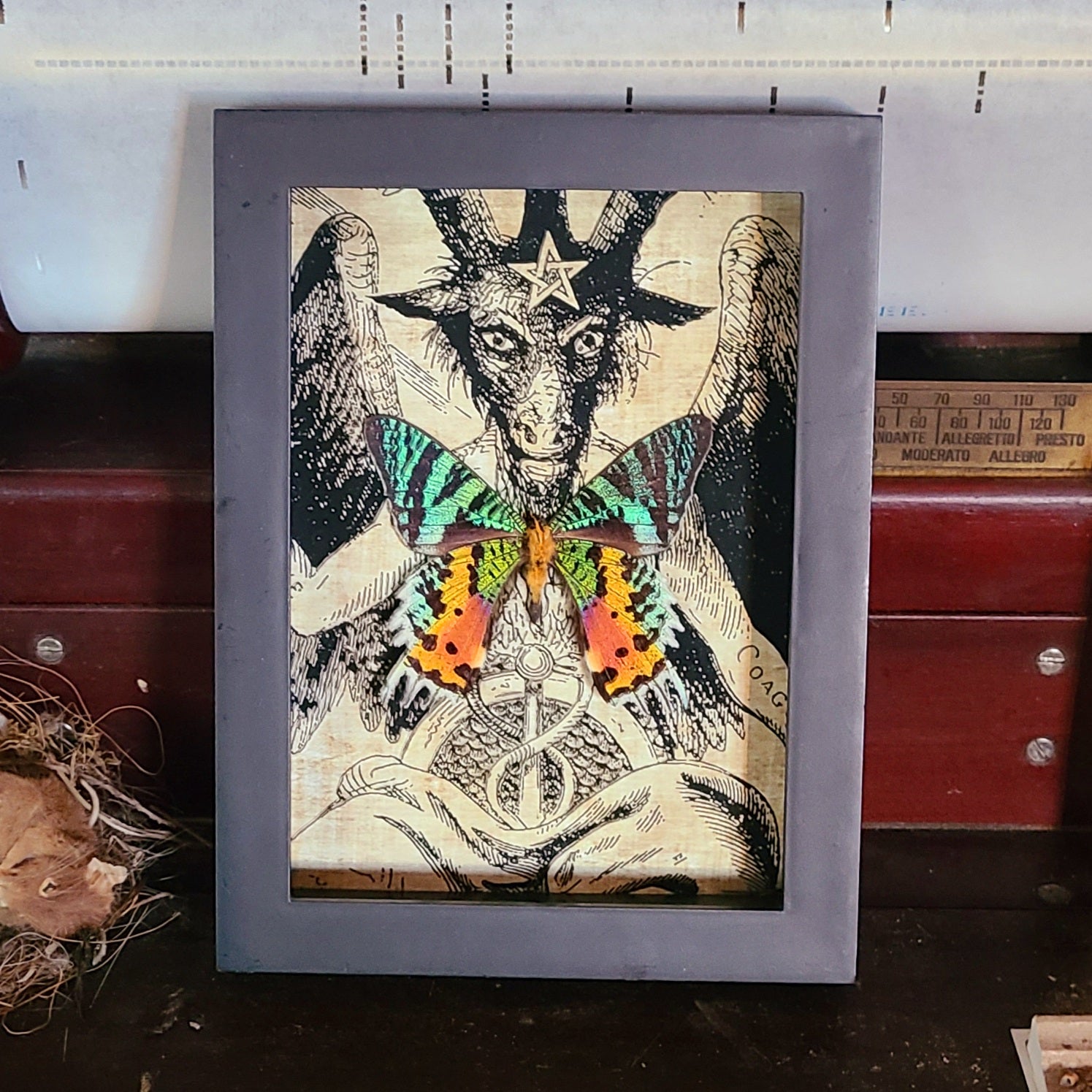 Sunset Moth and Baphomet – Hail - Records and Oddities